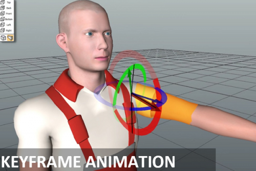 人体工学模拟软件ViveLab Ergo - 赢富仪器-多模态数据同步分析平台-压力分布测试系统-近红外脑成像-表面肌电-眼动仪